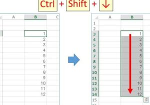 Excelでシートの一番下まで選択する方法：Ctrl+Shift+↓キー - 最高の Excel ガイド